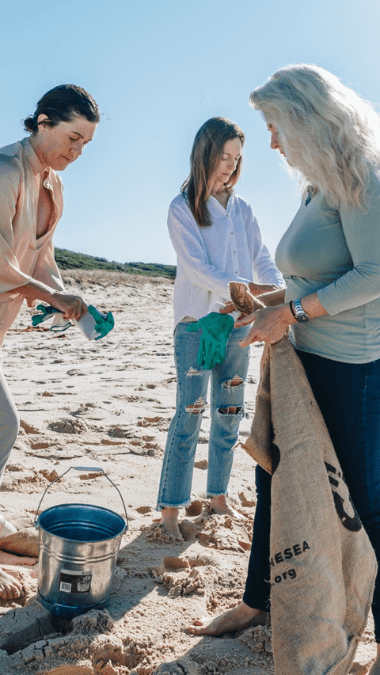 Central Coast Official Tourism and Destination Website: Love Central ...