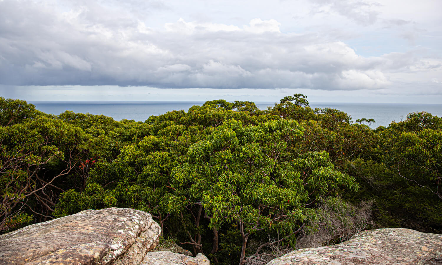 Guide to the best lookouts on the Central Coast | News | Love Central Coast