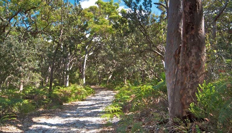Wyrrabalong National Park | Love Central Coast