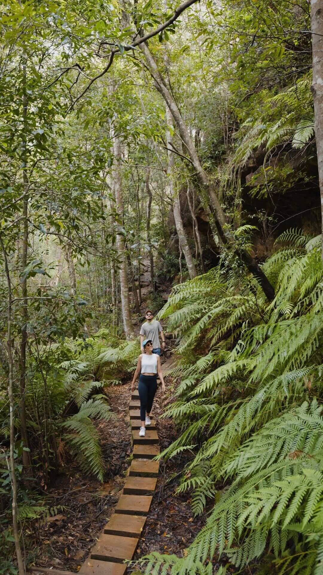 Girrakool Picnic Area and Piles Creek Loop | Things to do | Love ...