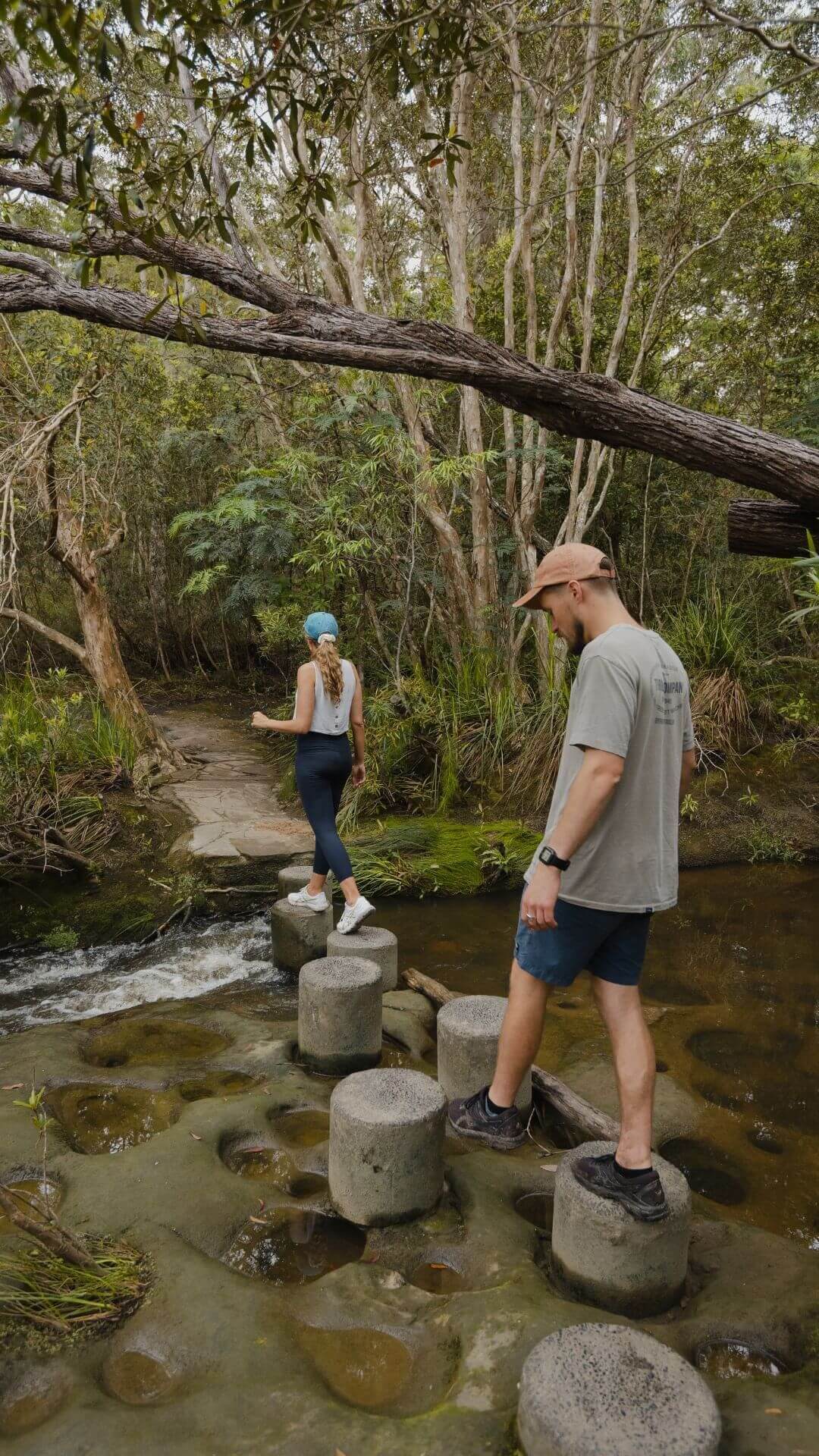 Girrakool Picnic Area and Piles Creek Loop | Things to do | Love ...