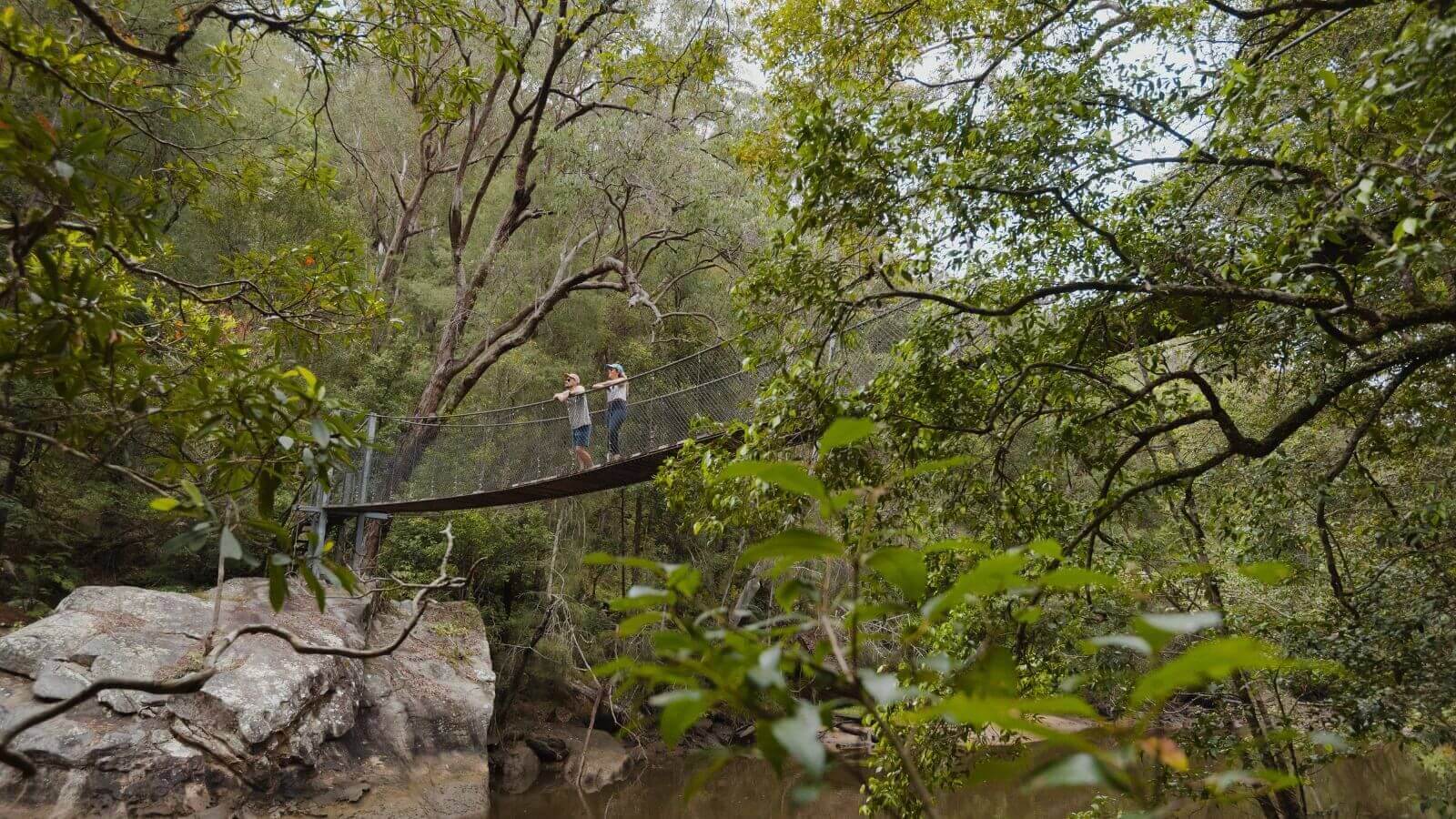 Girrakool Picnic Area and Piles Creek Loop | Things to do | Love ...