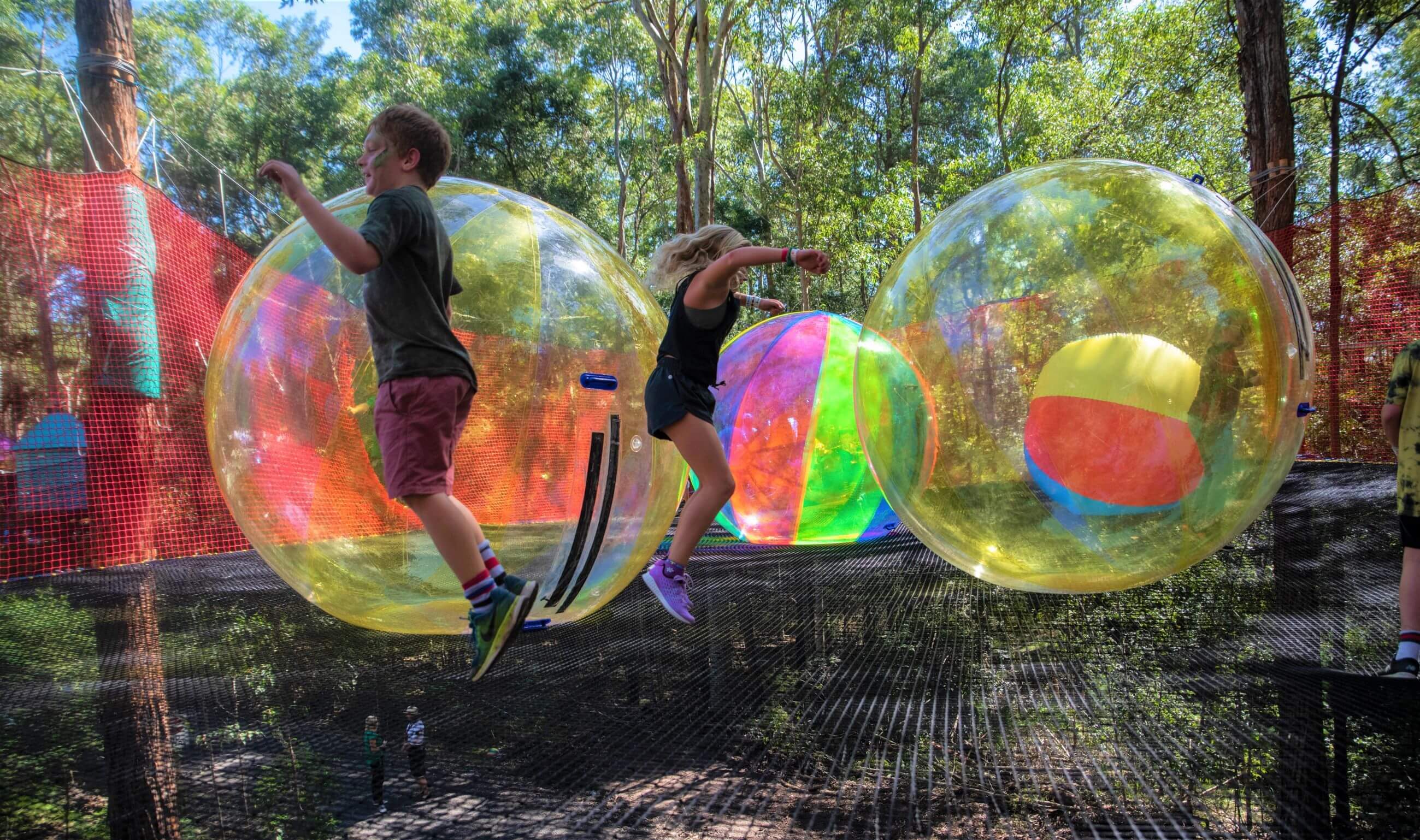 TreeTop NetWorld | School excursions | Love Central Coast
