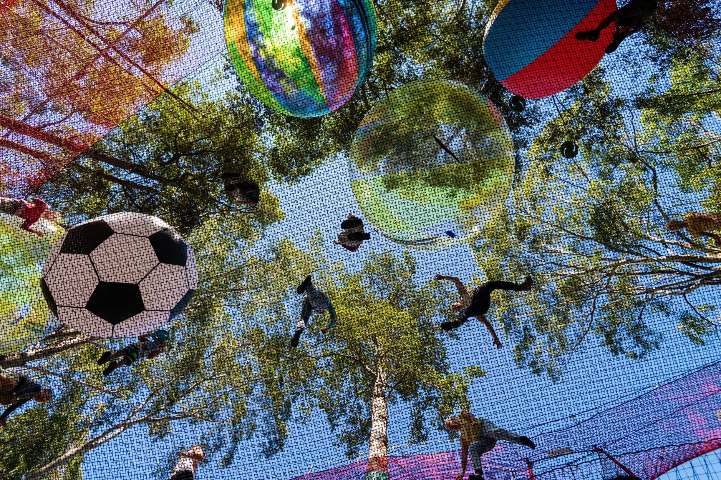 TreeTop NetWorld | Things to do | Tourism Central Coast