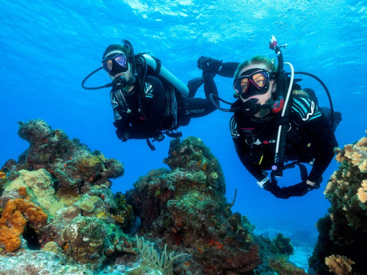 Pro-Dive Central Coast | Coastal/Beachside | Love Central Coast