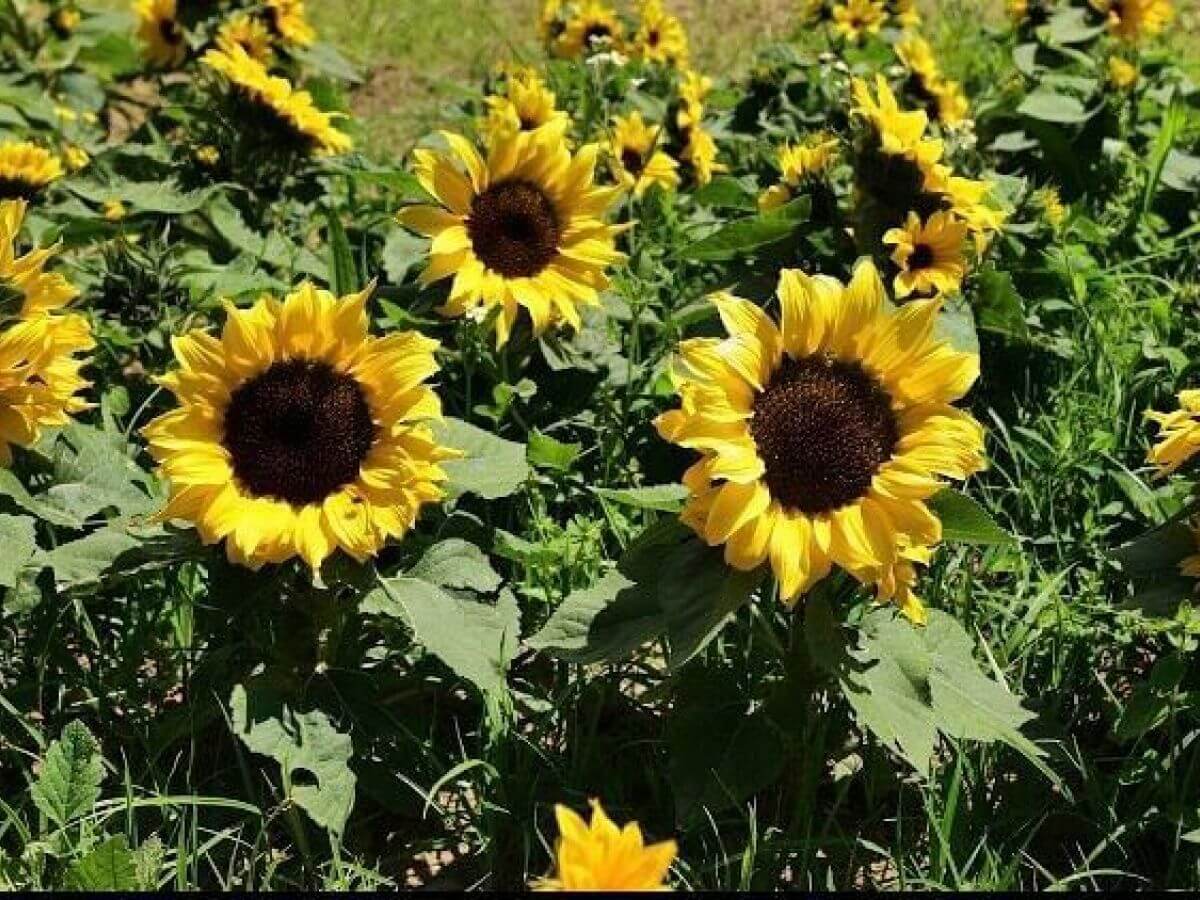 The Bloom Barn | Host an event | Love Central Coast