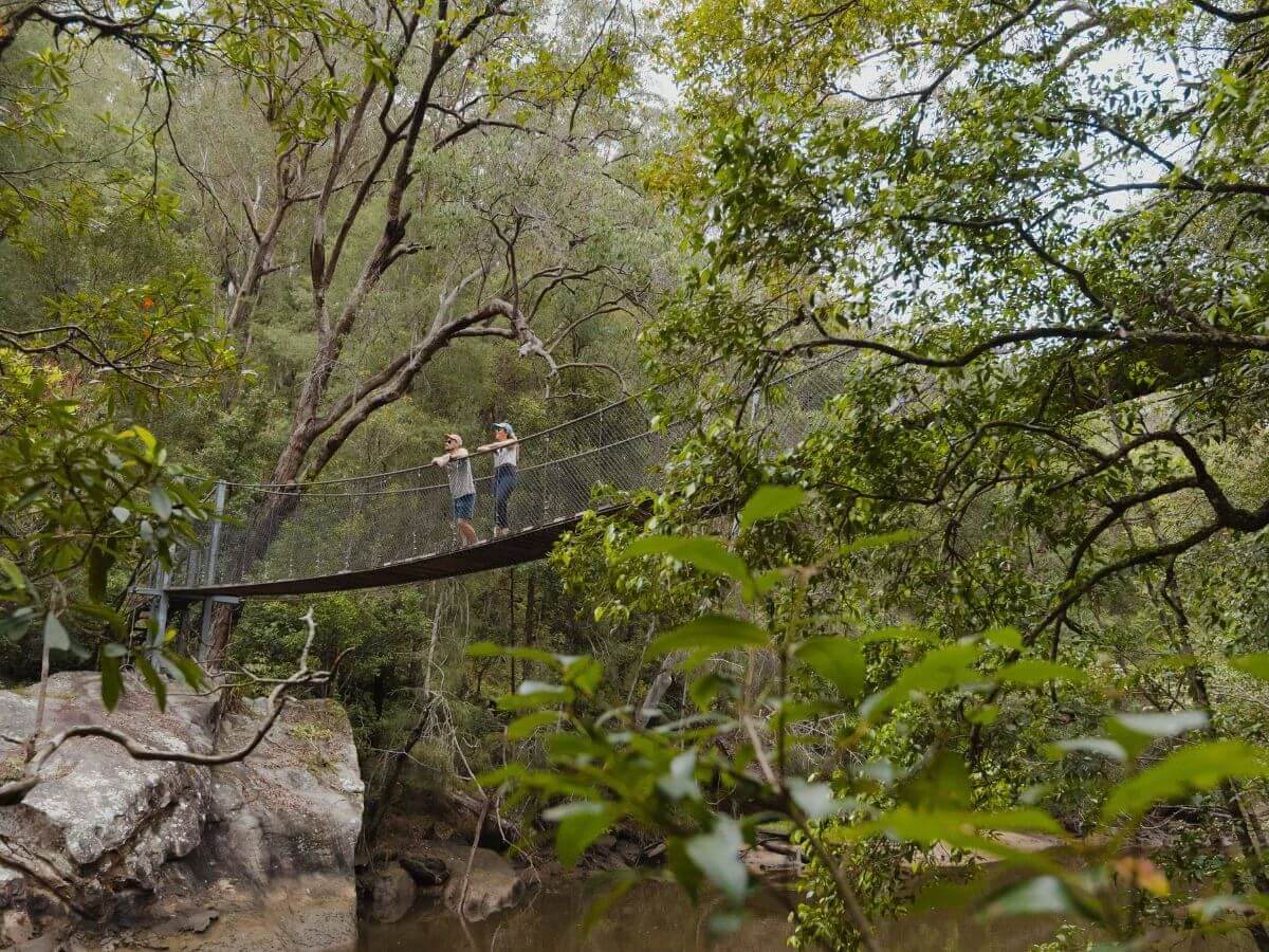 Girrakool Picnic Area and Piles Creek Loop | Things to do | Love ...