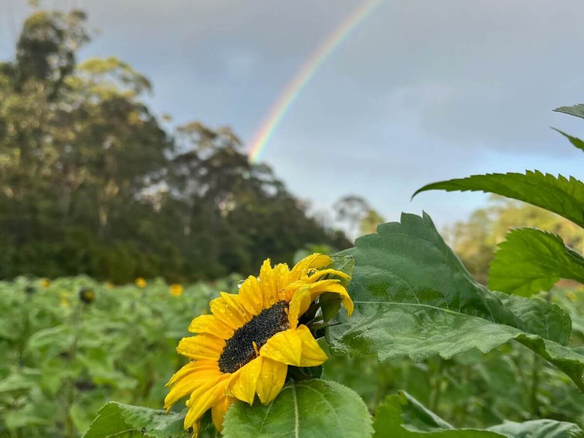 The Bloom Barn | Host an event | Love Central Coast