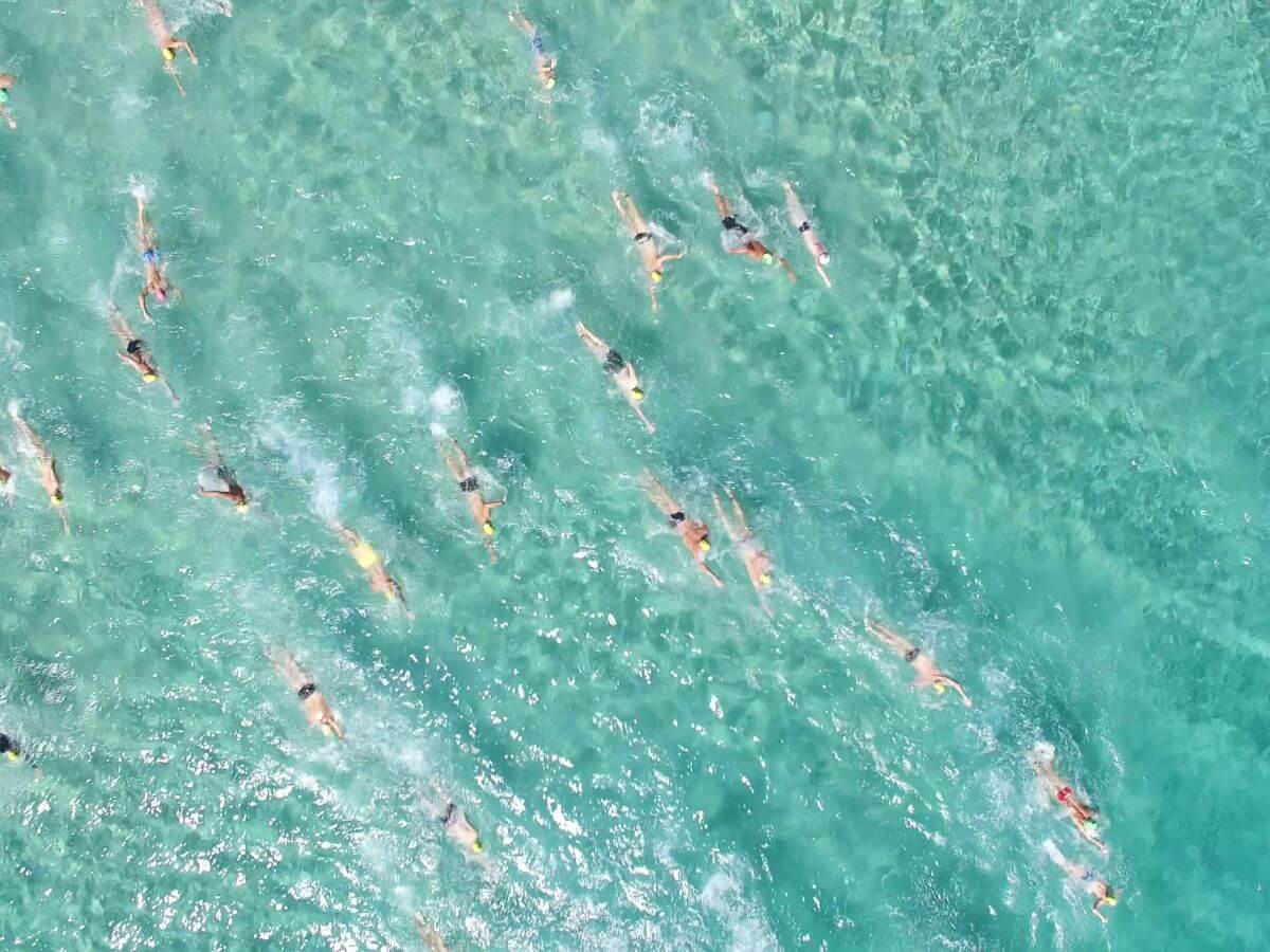 Terrigal Swim Fest | Sports | Love Central Coast