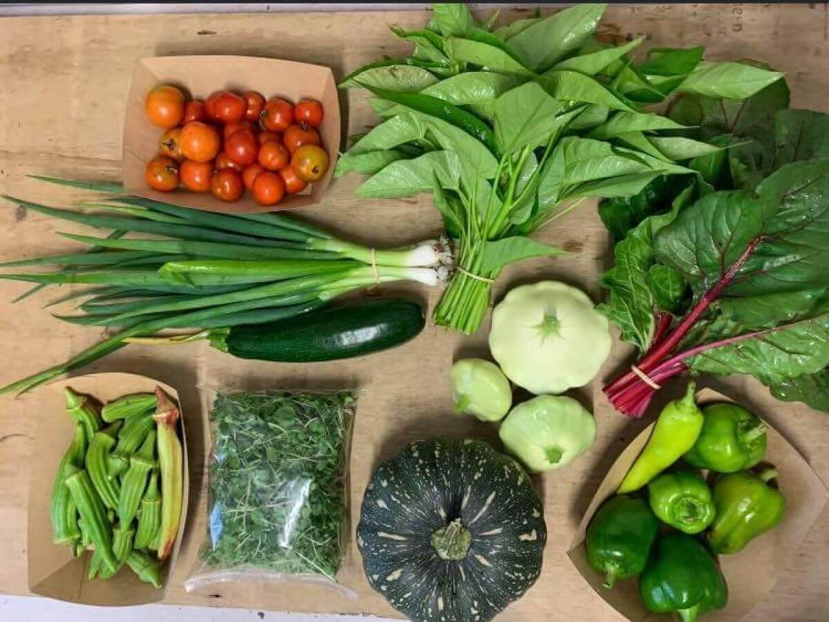 Alan Foods | Makers and Creators | Love Central Coast