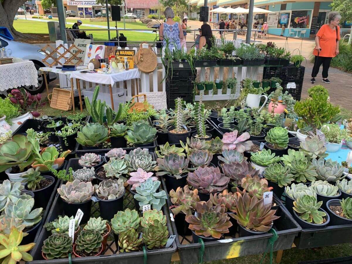 Toukley Lions Markets | Markets | Love Central Coast