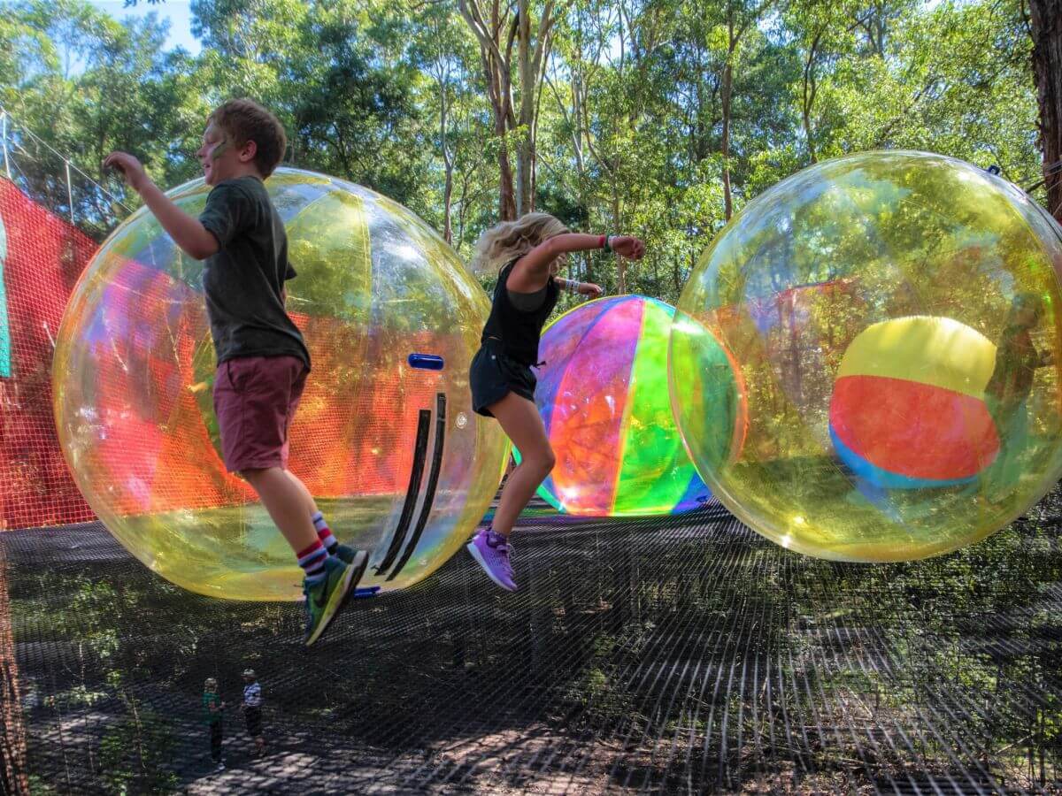 TreeTop NetWorld | School excursions | Love Central Coast