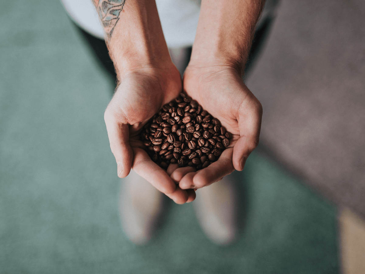 Looloos Coffee Warehouse | Eat & Drink | Love Central Coast