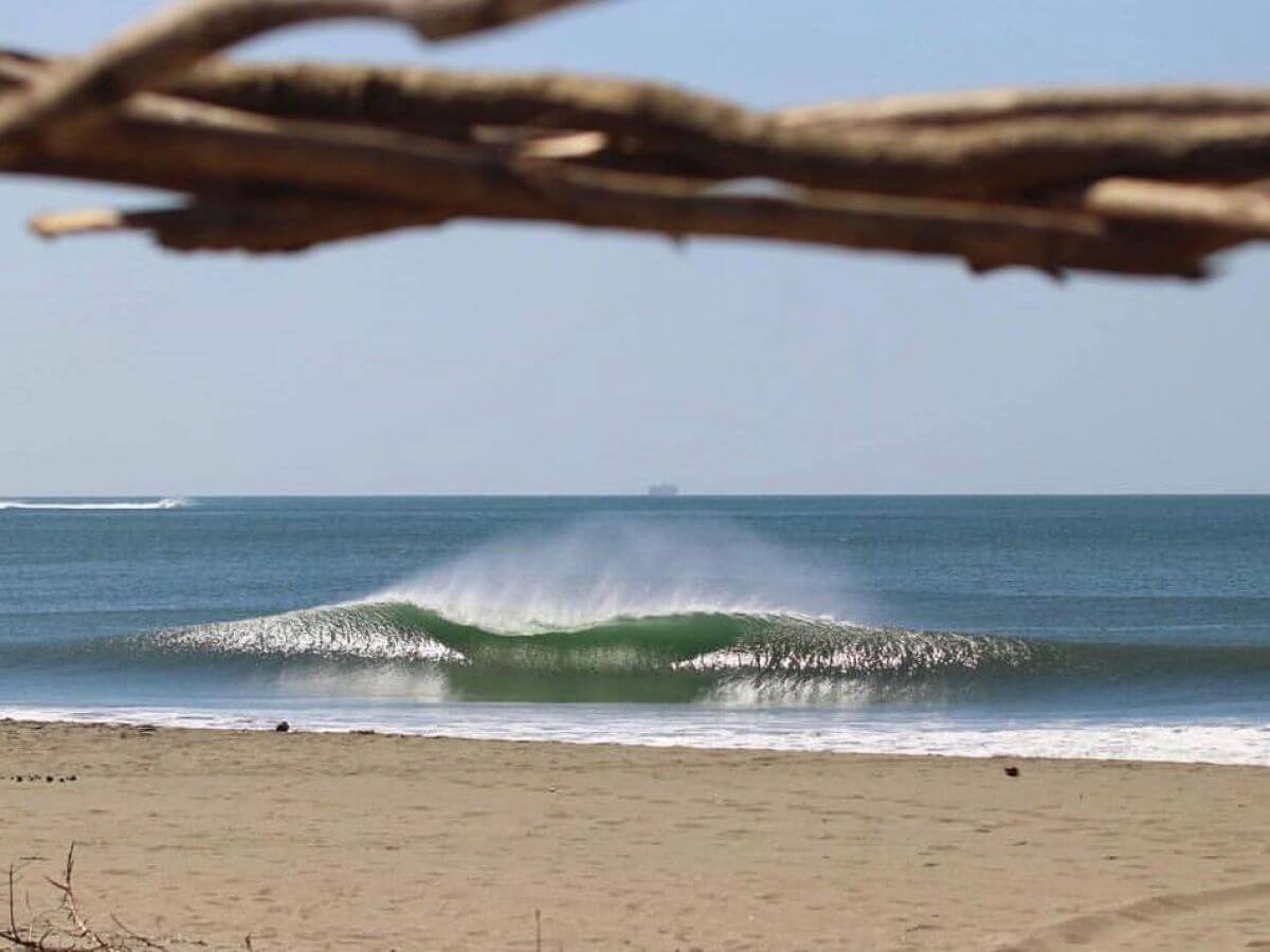 Central Coast Surf Academy | Water Sports | Love Central Coast