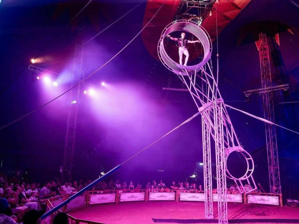 Stardust Circus The Entrance North | What's On | Love Central Coast