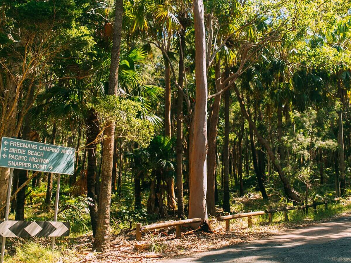 Frazer Campground | Stay | Love Central Coast